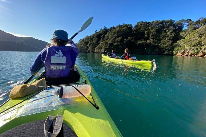 Full-Day Guided Sea Kayak Trip from Picton - Why Choose this Full-Day Guided Sea Kayak Trip?