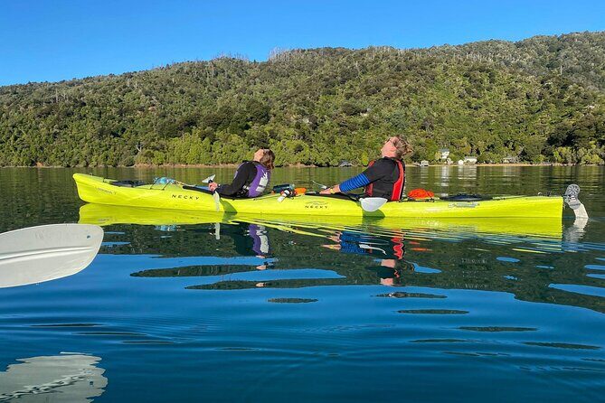 Full-Day Guided Sea Kayak Trip from Picton - Final Thoughts: Who Is This Tour Best For?