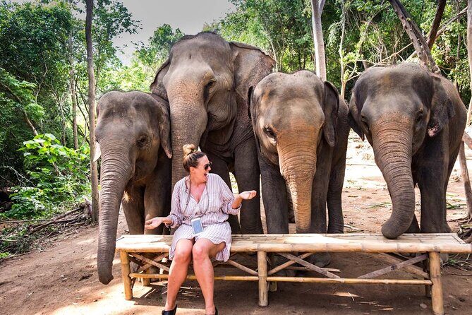 Full-Day Guided Sightseeing Island Tour around Koh Samui - The Sum Up