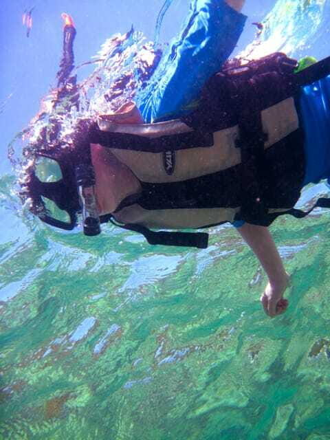 Full-Day Guided Snorkeling Tour from Kota Kinabalu - Snorkeling at the Islands: What to Expect