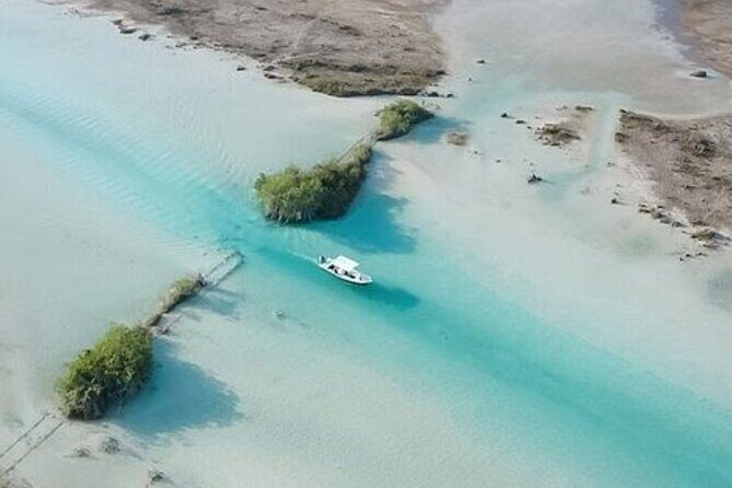 Full-Day Guided Tour in Bacalar: The Lagoon of Seven Colors - Key Points