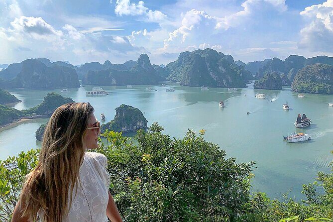 Full Day Guided Tour in Halong Bay - Who Will Enjoy This Tour?