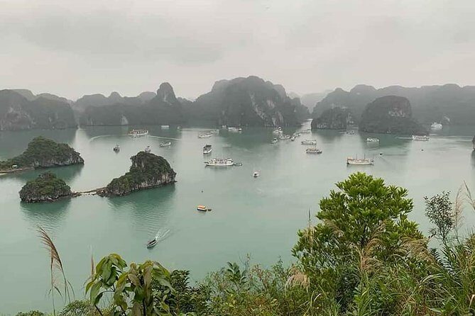 Full-Day Guided Tour of Lan Ha Bay and Ha Long Bay from Hanoi - Who Is This Tour Best For?
