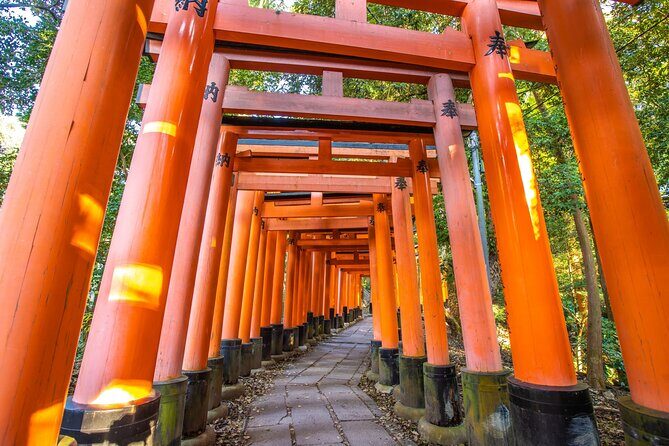 Full Day Guided Tour to Kyoto and Nara from Osaka by Van - Key Points