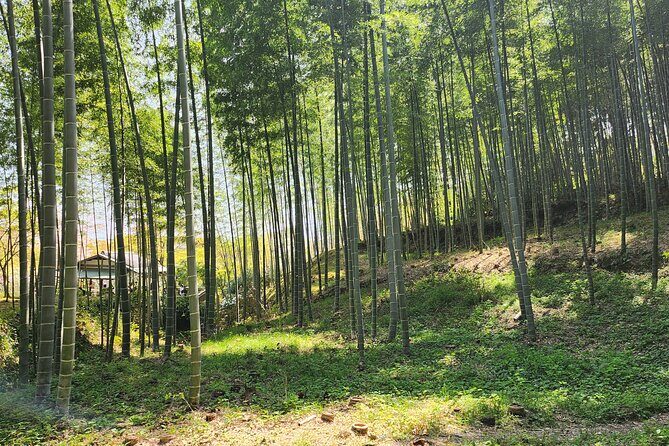 Full Day Guided Tour to Kyoto Arashiyama from Osaka by Van - The Sum Up