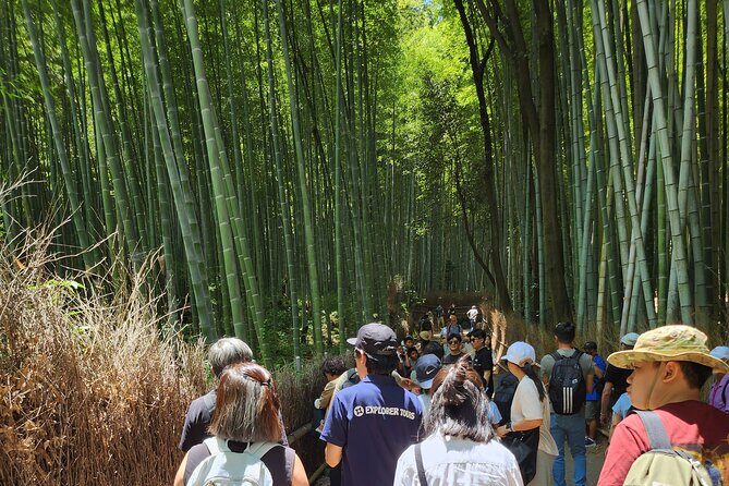 Full Day Guided Tour to Kyoto Arashiyama from Osaka by Van - FAQ