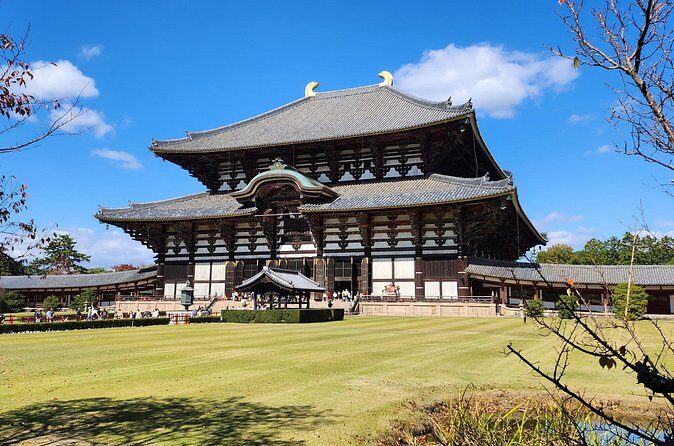 Full Day Guided Tour to Nara from Osaka by Van - Scenery and Heritage Sites