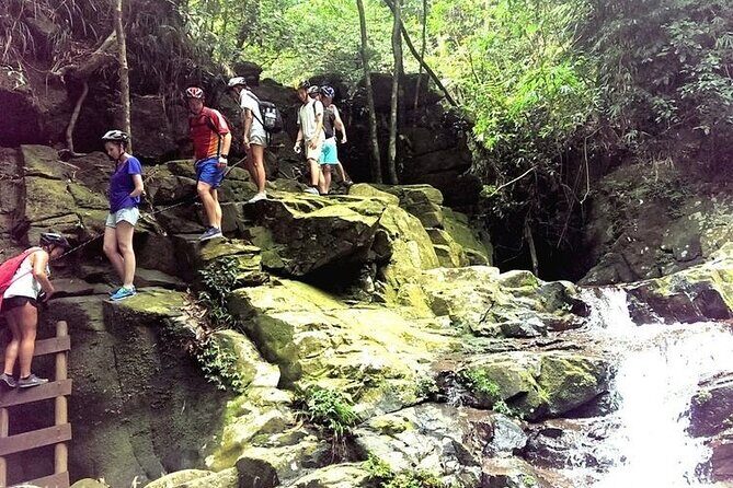 Full-Day Guided Trekking Tour in Bach Ma National Park Vietnam - Transport, Group Size, and Practicalities