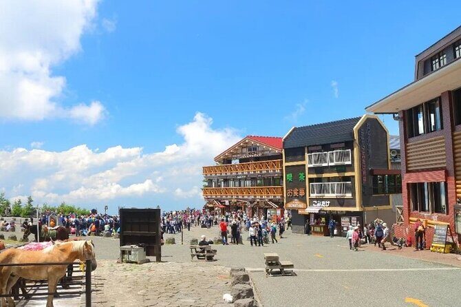 Full Day Guided Trip to Mt. Fuji and Hakone from Tokyo - An In-Depth Look at the Experience