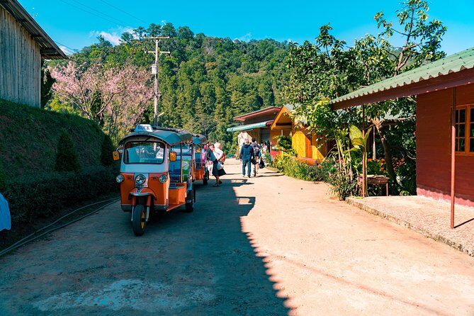 Full-Day Guided Tuk Tuk Chiang Mai Adventure and Rafting - FAQ