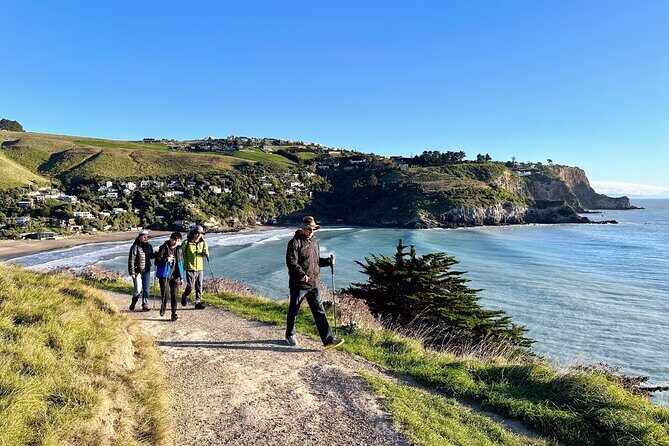 Full Day Guided Walking Tour and Picnic around Godley Head - Why This Tour Stands Out