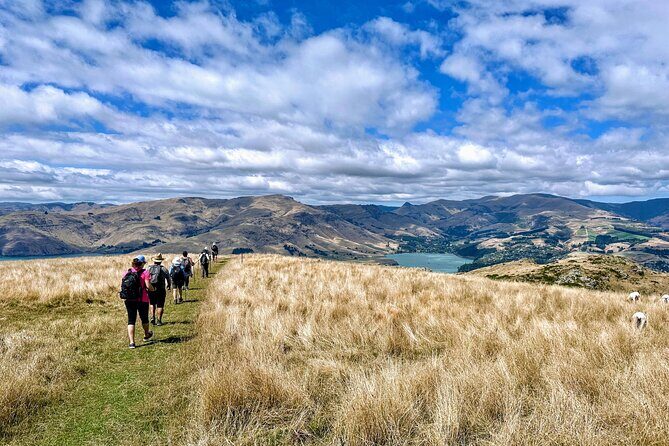 Full Day Guided Walking Tour and Picnic around Godley Head - FAQ