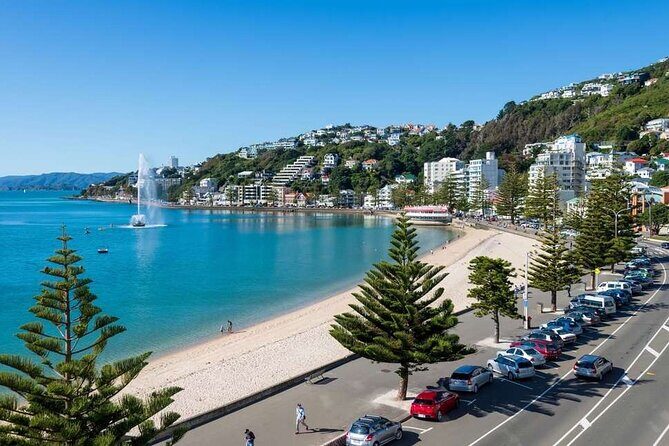 Full Day Guided Wellington Tour including Cable Car - An In-Depth Look at the Wellington Full-Day Tour