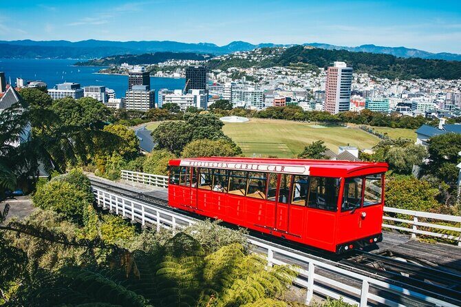 Full Day Guided Wellington Tour including Cable Car - What Makes This Tour Special?