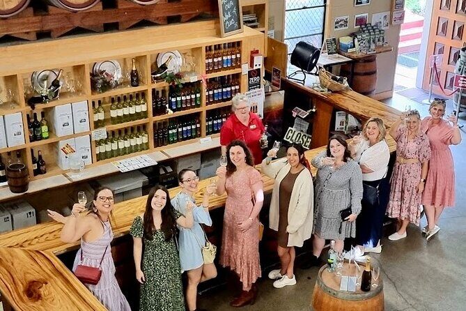 Full-Day Guided Wine Tour in Mt Tamborine From Gold Coast - Who Should Consider This Tour