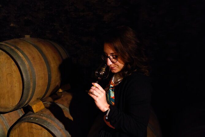 Full Day Guided Wine Tour with Tasting and Lunch - Final Thoughts: The Tours Value and Who It Benefits Most