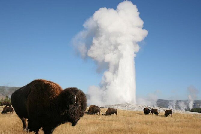 Full-Day Guided Yellowstone Day Tour - Starting with Convenience and Comfort