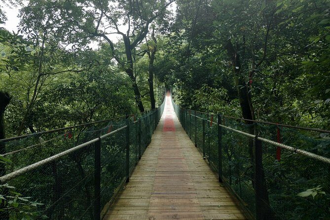 Full-Day Guilin Gudong Waterfall & Crown Cave Private Tour - Pricing and Value