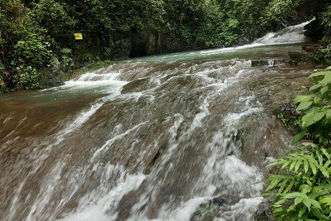 Full-Day Guilin Gudong Waterfall & Crown Cave Private Tour - What Reviews Say About the Experience