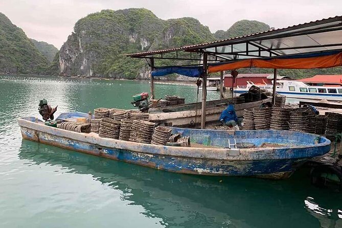 Full-Day Ha Long Bay & Lan Ha Bay Cruise with Hotel Pickup - The Practical Side: What to Expect