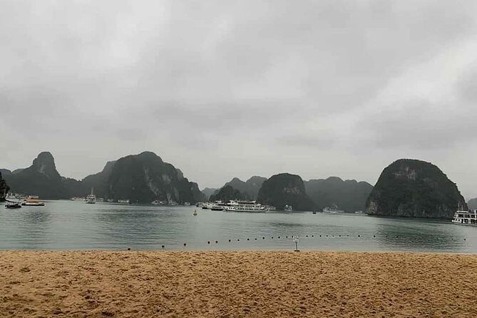 Full-Day Ha Long Bay & Lan Ha Bay Cruise with Hotel Pickup - Authentic Feedback from Travelers