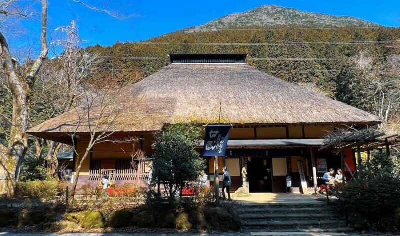 Full-Day Hakone Tour, With Mt. Fuji View & Sky Walk - Key Points