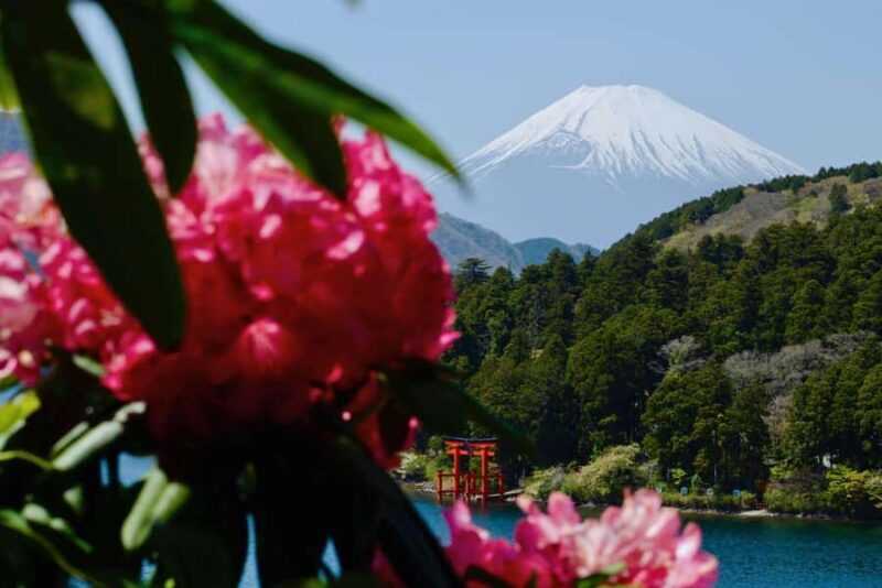 Full-Day Hakone Tour, With Mt. Fuji View & Sky Walk - Final Thoughts