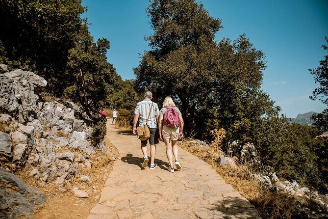 Full-Day/Half-Day Tour : Lasithi Plateau & Knossos Palace - Introduction: An Authentic Day in Crete