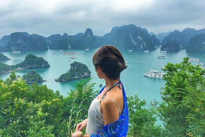 Full Day Halong Bay Tour From Hanoi - The Itinerary in Detail