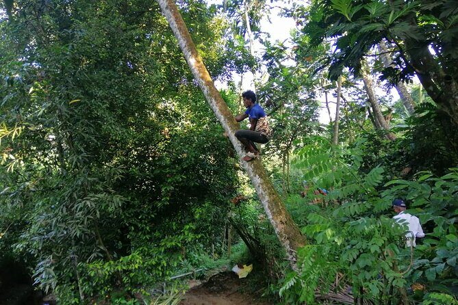 Full Day Hantana Pekoe Trail Hike from Kandy - Who Should Take This Tour?