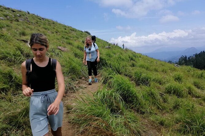 Full Day Hantana Pekoe Trail Hike from Kandy - FAQ