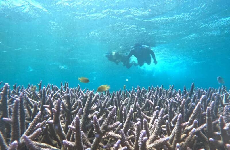 Full-Day Hidden Gili Kondo with Snorkeling and Beach BBQ - Key Points