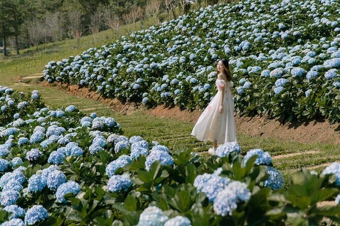 Full-Day Highlight of Da Lat The famous tourist attractions 2025 - Detailed Tour Breakdown