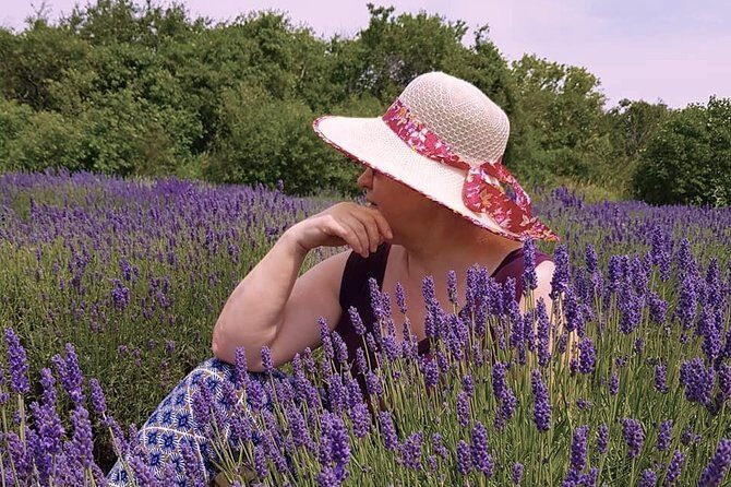 Full-Day Highlights of Prince Edward County Private Tour - The Experience in Detail