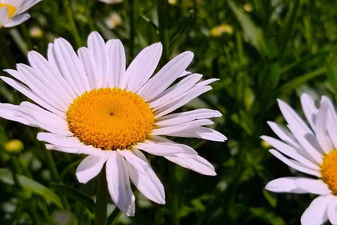 Full-Day Highlights of Prince Edward County Private Tour - Final Thoughts