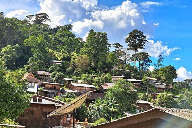 Full-Day Hike and Bike Tour from Chiang Mai - The Cycling Adventure: Rural Roads and Orchid Farms