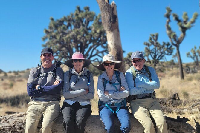 Full Day Hike in Joshua Tree National Park - Why Choose a Guided Full-Day Hike in Joshua Tree?
