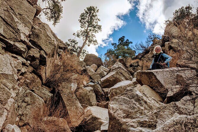Full Day Hike in Joshua Tree National Park - Who Would Benefit Most from This Tour?