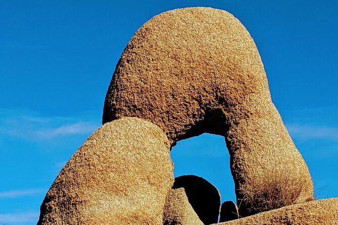 Full Day Hike in Joshua Tree National Park - FAQs