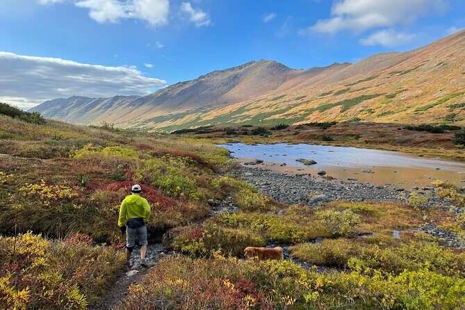 Full day Hiking Adventure - Exploring the Full-Day Hiking Adventure in Anchorage