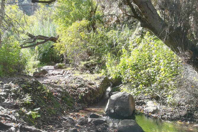 Full day Hiking and Waterfalls Experience - Key Points
