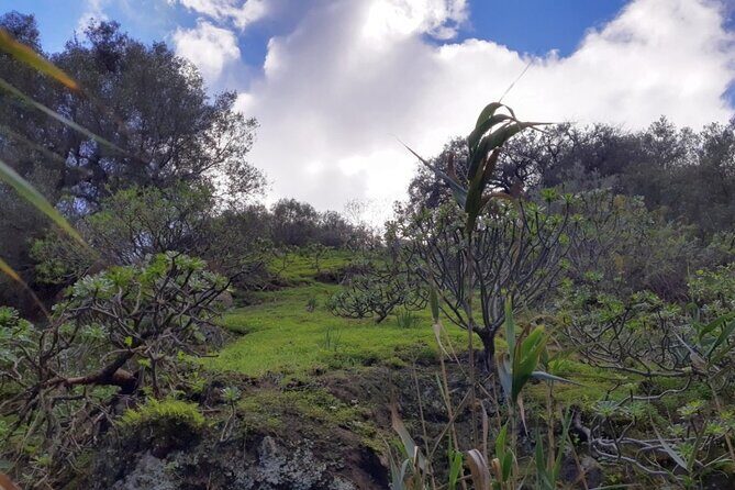 Full day Hiking and Waterfalls Experience - Why This Tour Is Truly Worth It