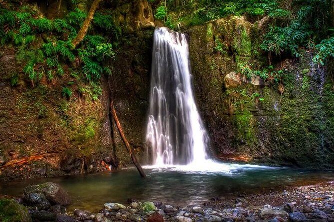Full Day Hiking Faial da Terra (Min. 2 persons) - Key Points