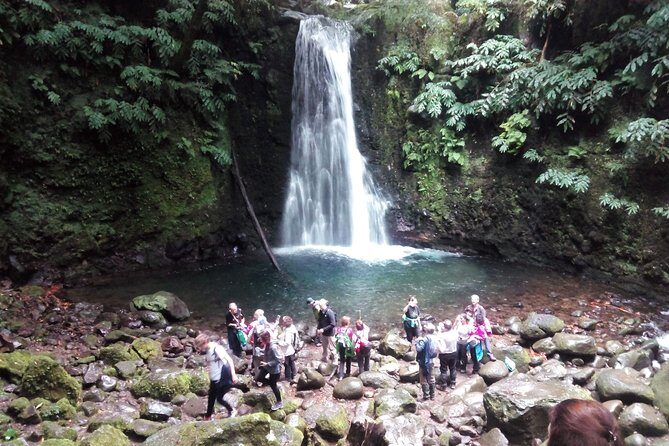 Full Day Hiking Faial da Terra (Min. 2 persons) - Practical Details: What to Expect