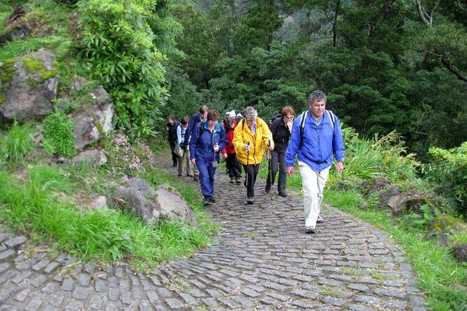 Full Day Hiking Faial da Terra (Min. 2 persons) - Why Choose This Tour?