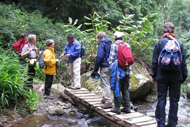 Full Day Hiking Faial da Terra (Min. 2 persons) - Who Is This Tour Best For?