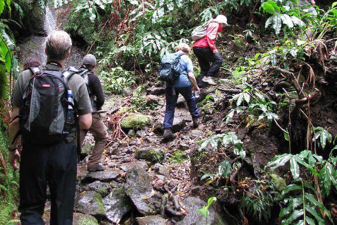 Full Day Hiking Faial da Terra (Min. 2 persons) - Final Thoughts