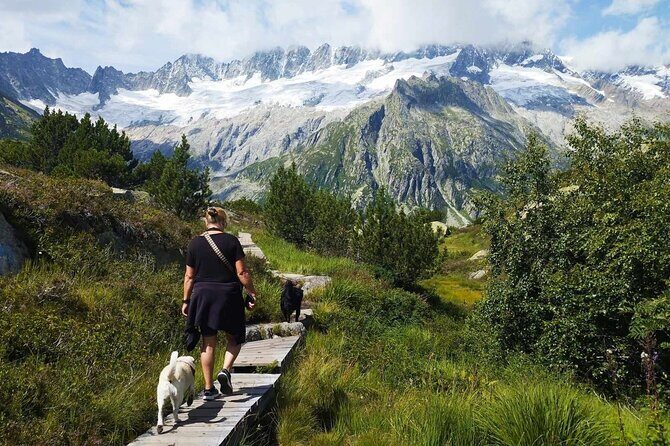 Full-Day Hiking Swiss Alps and Lake swim with Pick-up - What the Tour Includes and How It’s Structured