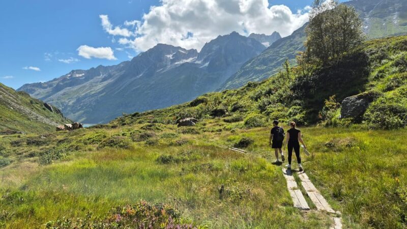 Full-Day Hiking Swiss Alps and Lake with Pick-up - Lucerne - Why Youll Love This Experience