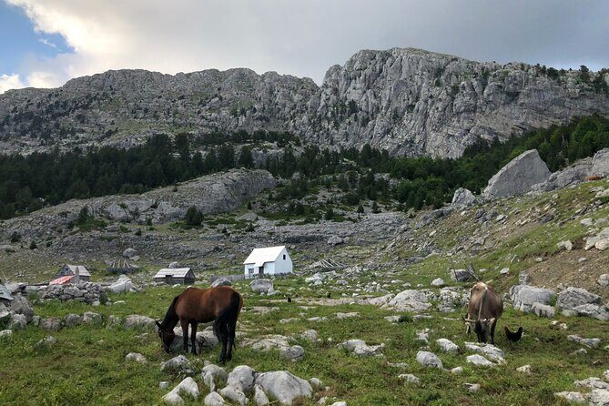Full-Day Hiking Tour to Maganik Montenegro - The Sum Up: A Genuine Montenegrin Mountain Experience